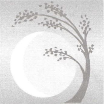 The Chalgrove Brook: Rescuing a Chalk Stream