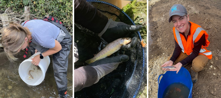 2023: A Year in Review