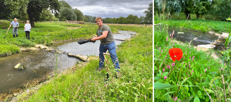 2023: A Year in Review