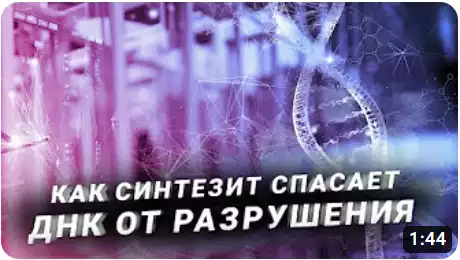 Официальный сайт Синтезит