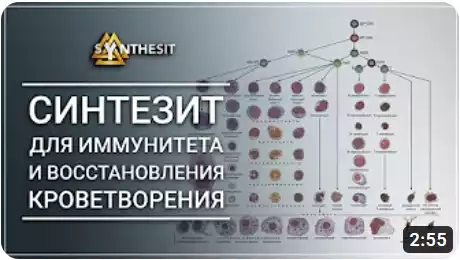 Официальный сайт Синтезит