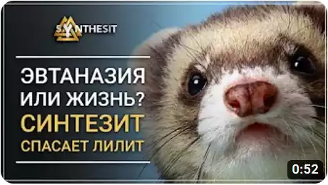 Официальный сайт Синтезит