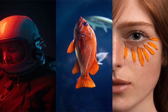 Walsh Webflow Library | Webflow