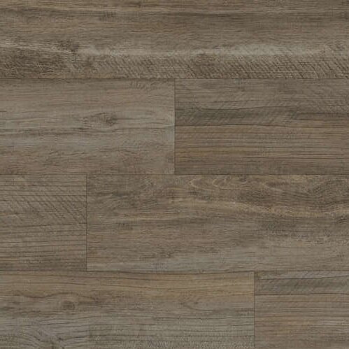 Dynamite Plus | Happy Feet International