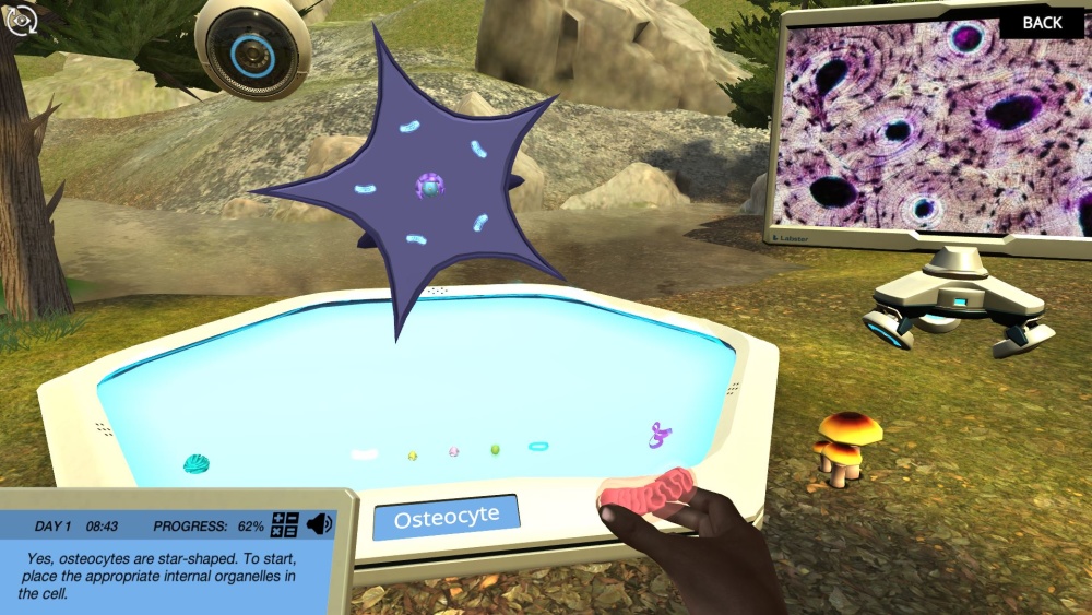 Prepare Your AP Biology Students for the AP Bio Exam with Labster