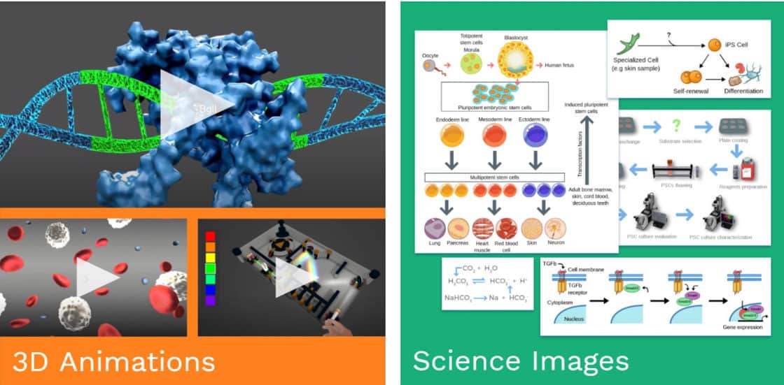 Platform Update: Expanding Beyond Simulations