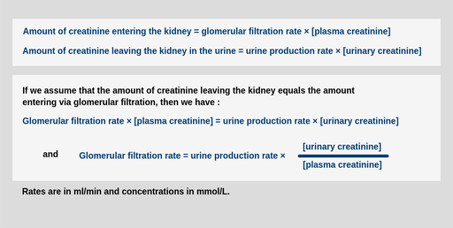 5 Ways To Get Students Interested in Renal Physiology