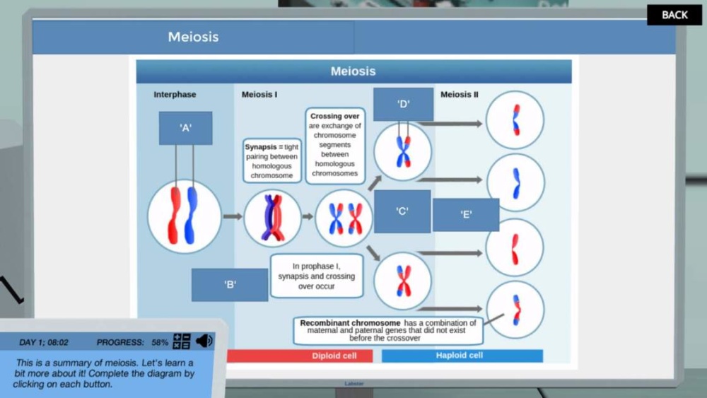5 Ways to Make Human Reproductive Cells Easier for Students to Understand