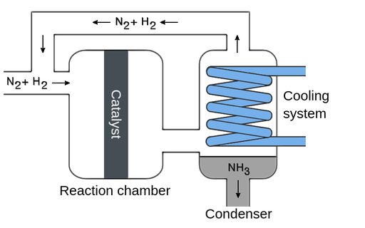 5 Ways to Get Students Energized About Learning Equilibrium
