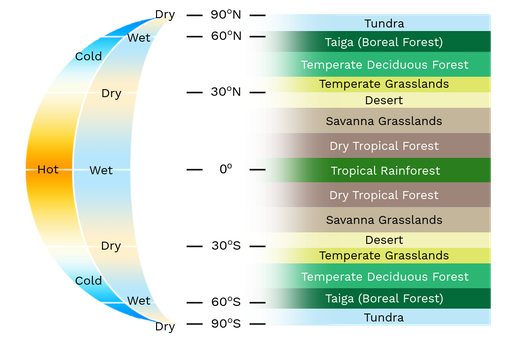 5 Ways to Teach Atmospheric Circulation, Climate, and Biomes