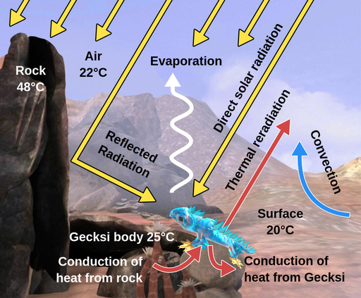 5 Ways to Get Students Energized About Behavioral Thermoregulation