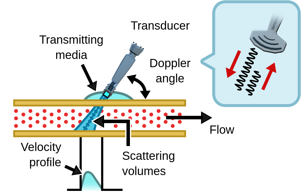 5 Ways To Motivate Students About Echocardiography