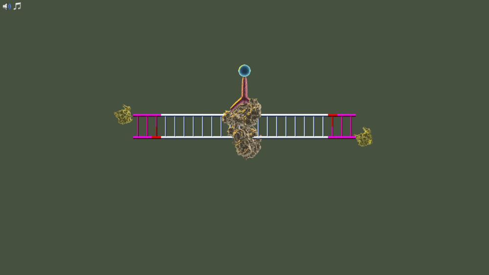 5 Ways to Make ChIP-exo A More Approachable Topic for Students