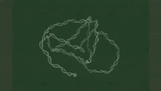 5 Ways to Make ChIP-exo A More Approachable Topic for Students