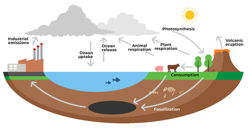 6 Key Earth Science Concepts You Can Teach with Virtual Labs