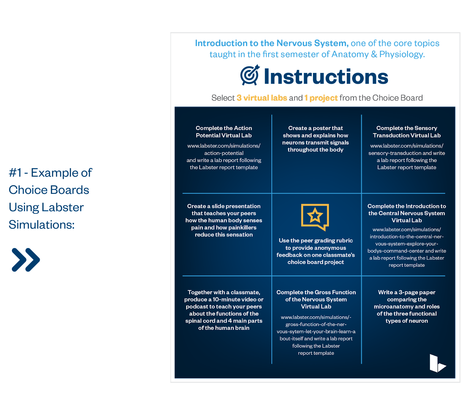 Use Choice Boards with Labster to Give Students Agency
