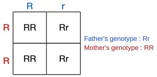 5 Interesting Ways to Teach Genetics