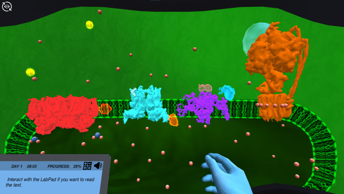 9 Photosynthesis Lab Experiments for Your Class