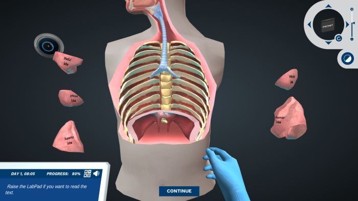5 Creative Ways To Teach Anatomy And Physiology