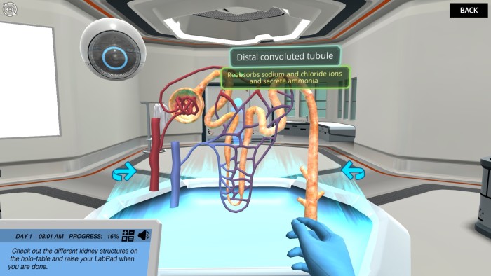 5 Creative Ways To Teach Anatomy And Physiology 5 Creative Ways To Teach Anatomy And Physiology