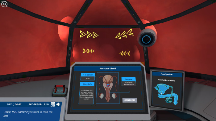 5 Engaging Ways to Teach the Male Reproductive System