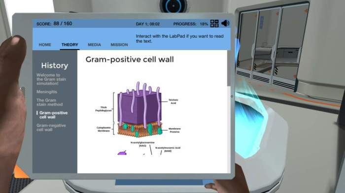 5 Creative Ways to Teach Gram Positive and Gram Negative Cell Walls