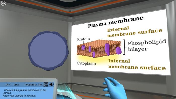 5 Creative Ways to Teach Comparing Bacterial Structures