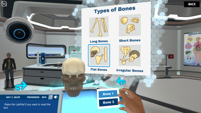 5 Creative Ways To Teach The Skeletal System Without Lecturing