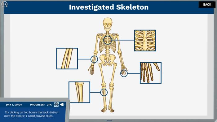5 Creative Ways to Teach The Skeletal System Without Lecturing