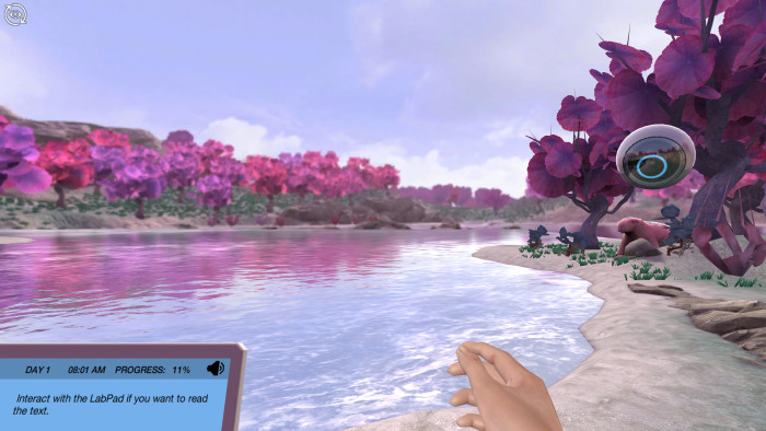 5 Engaging Ways to Teach Food Webs to Help Students Understand