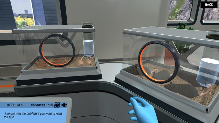 5 Creative Ways to Teach Inheritance with Punnett Squares