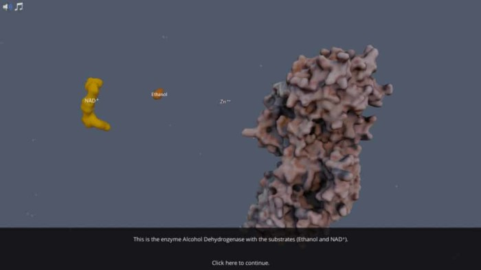 5 Exciting Ways to Teach Enzyme Kinetics Without Lecturing