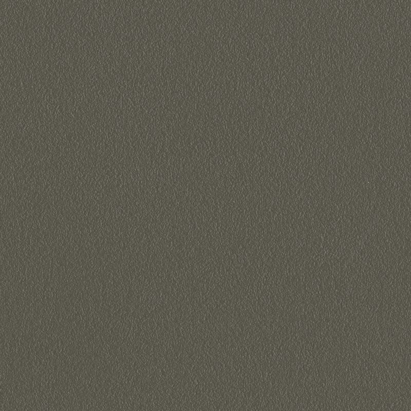 Paint Finish Fieldstone - gen2