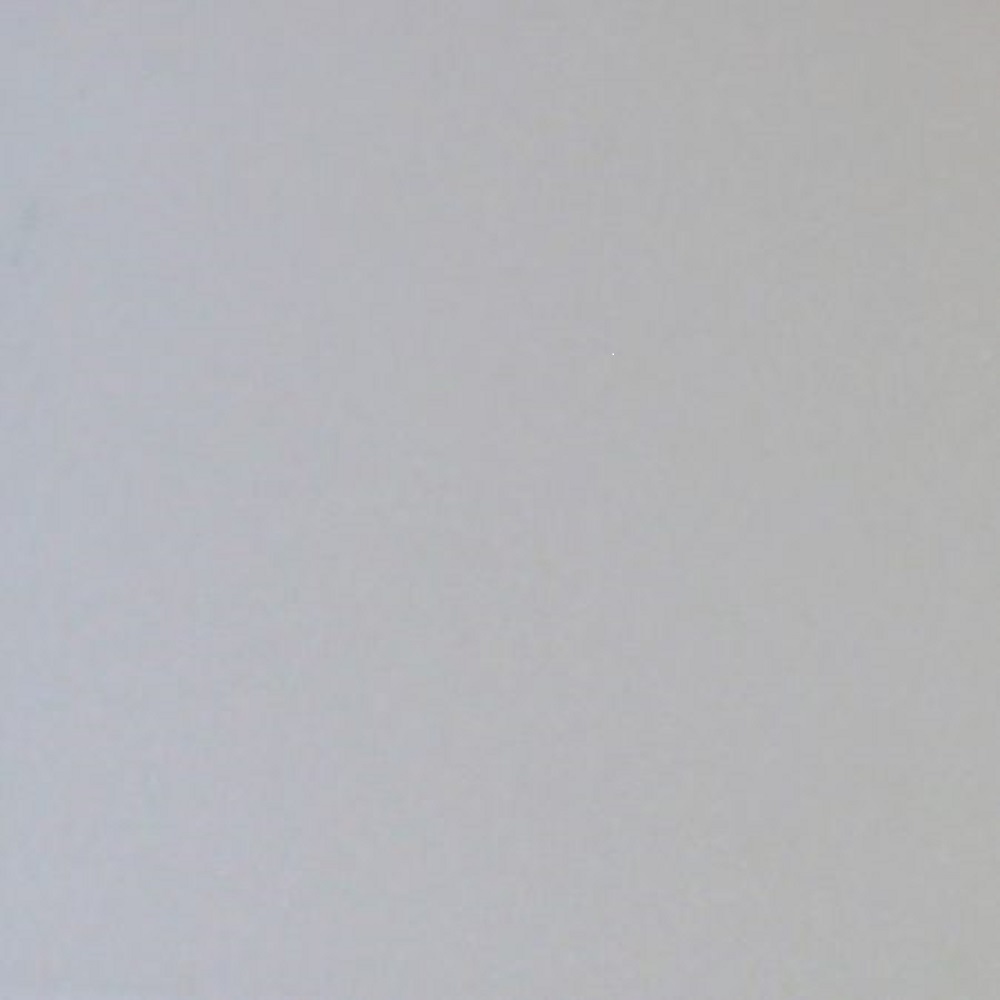 Paint Finish Platinum - gen2