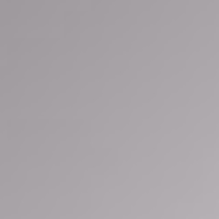 Paint Finish Quarry - gen2