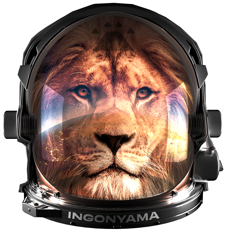 Ingonyama - Hardware Accelerators for ZKP Cryptography