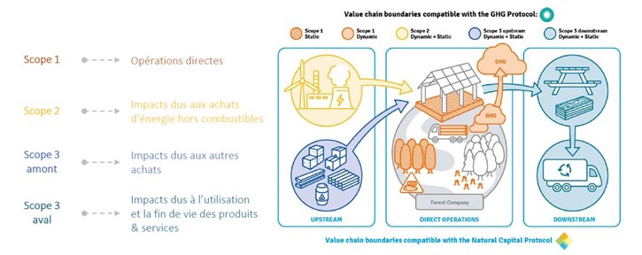 Impact biodiversité d'une entreprise, contribution carbone Label bas ...
