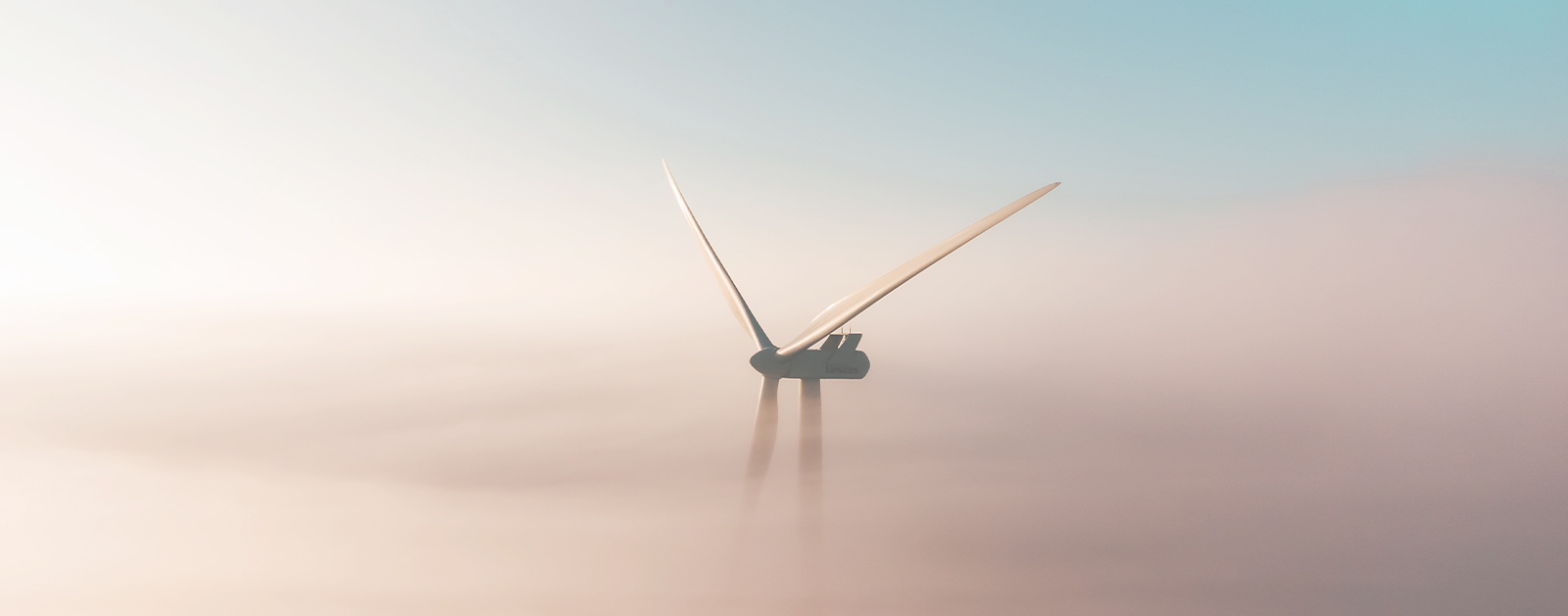 Discover carbon offsetting: a key strategy against climate change ...