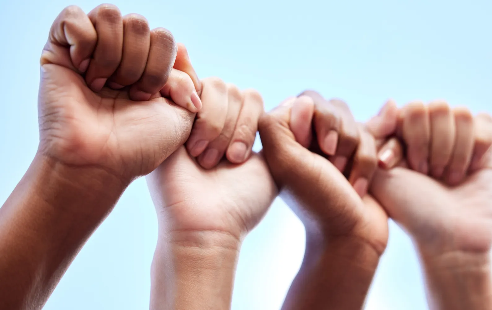 FreeWill Featureships