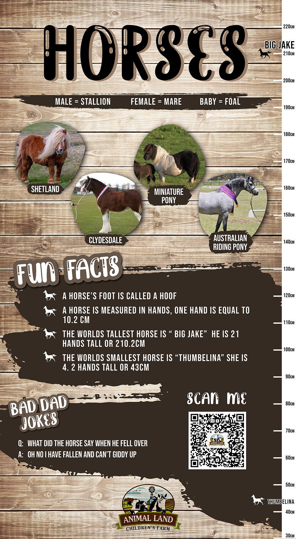 Classroom Resources | Animal Land Children's Farm