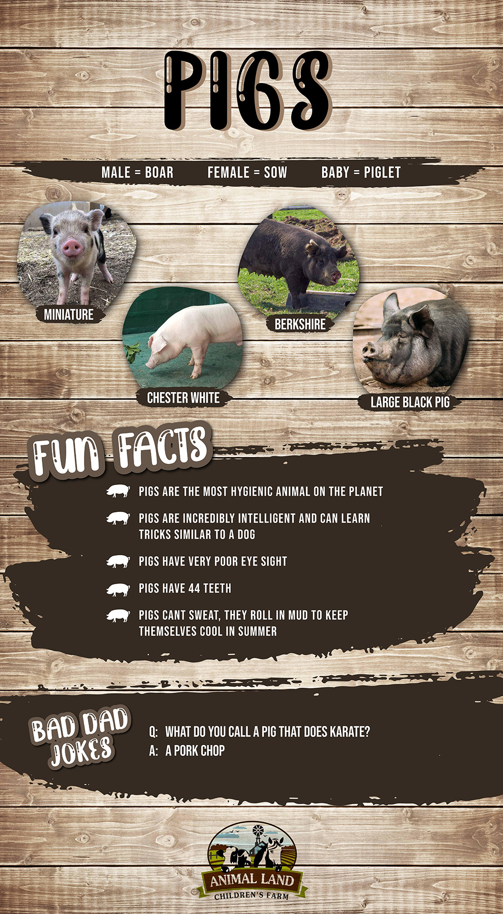 Classroom Resources | Animal Land Children's Farm