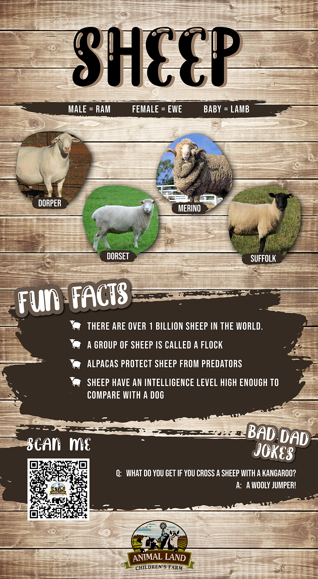 Classroom Resources | Animal Land Children's Farm
