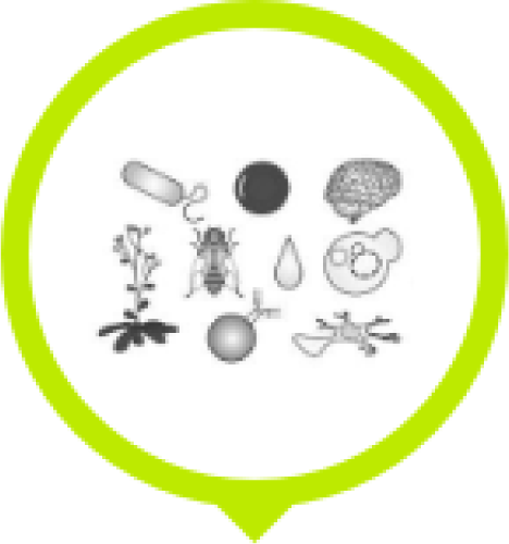Proteomics Sample Preparation | LC-MS Sample Preparation