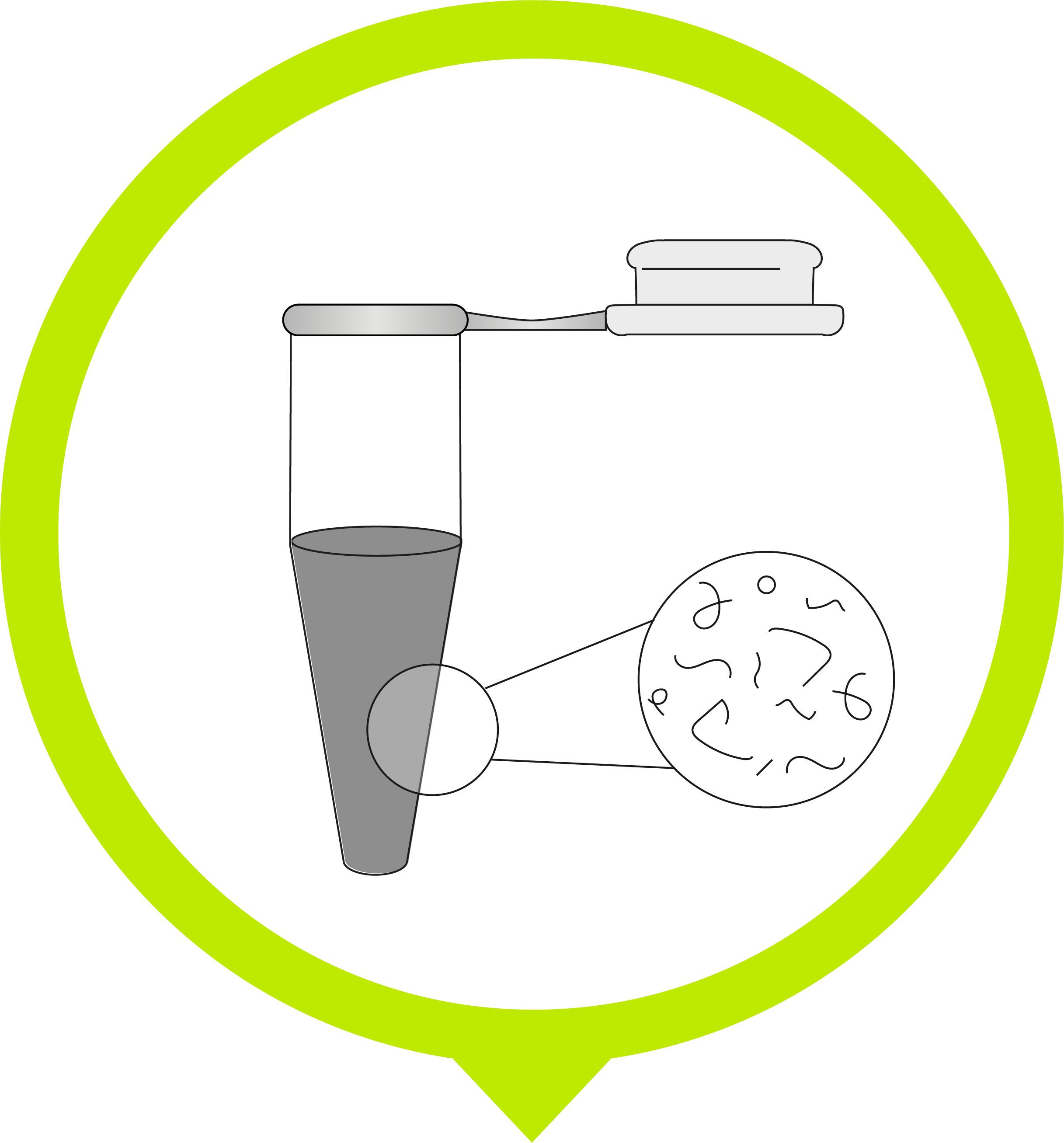 Peptide Purification | Mass Spectrometry Analysis | PreOmics