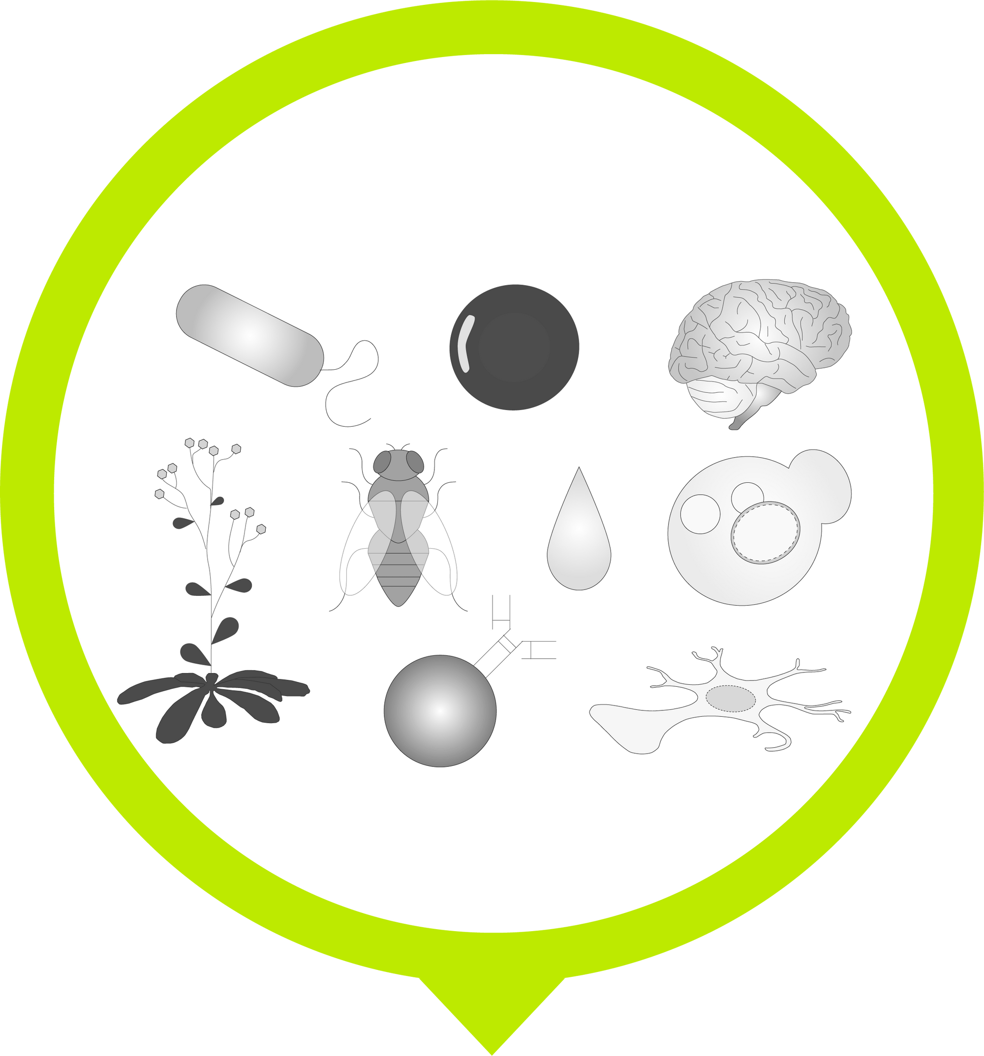 Hamilton automated sample preparation for PreOmics® iST kits