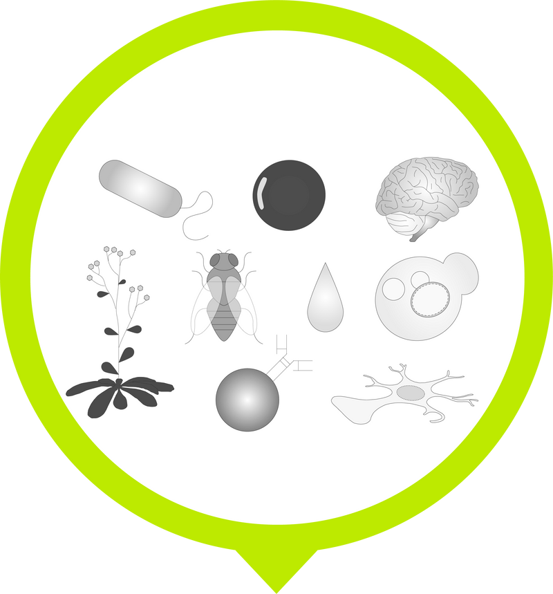 Hamilton automated sample preparation for PreOmics® iST kits