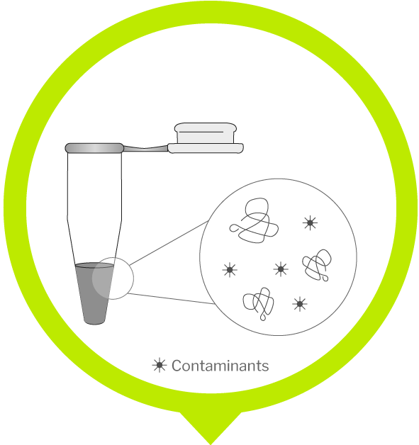 SP3 Beads Proteomics | Bottom Up Proteomics | SP3 Protocol