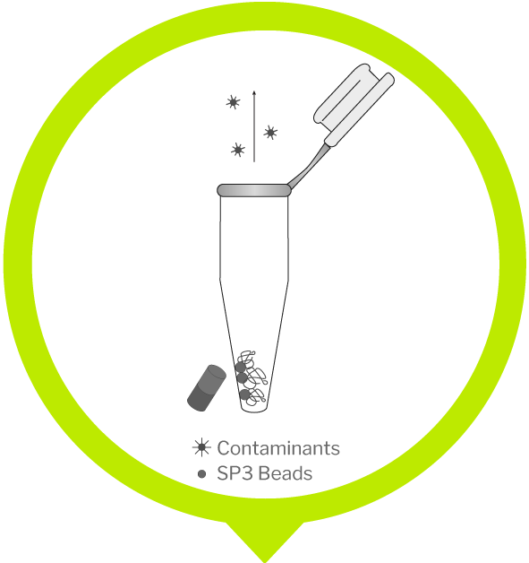 SP3 Beads Proteomics | Bottom Up Proteomics | SP3 Protocol