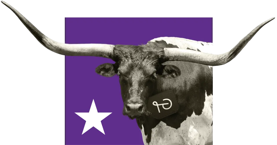 Play Pickleball In Austin | Austin Pickle Ranch