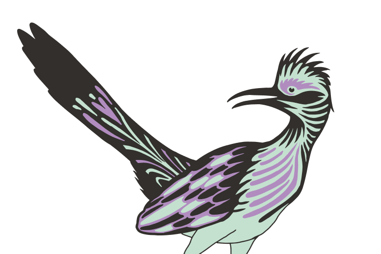 Ways to Play Pickleball at Austin Pickle Ranch